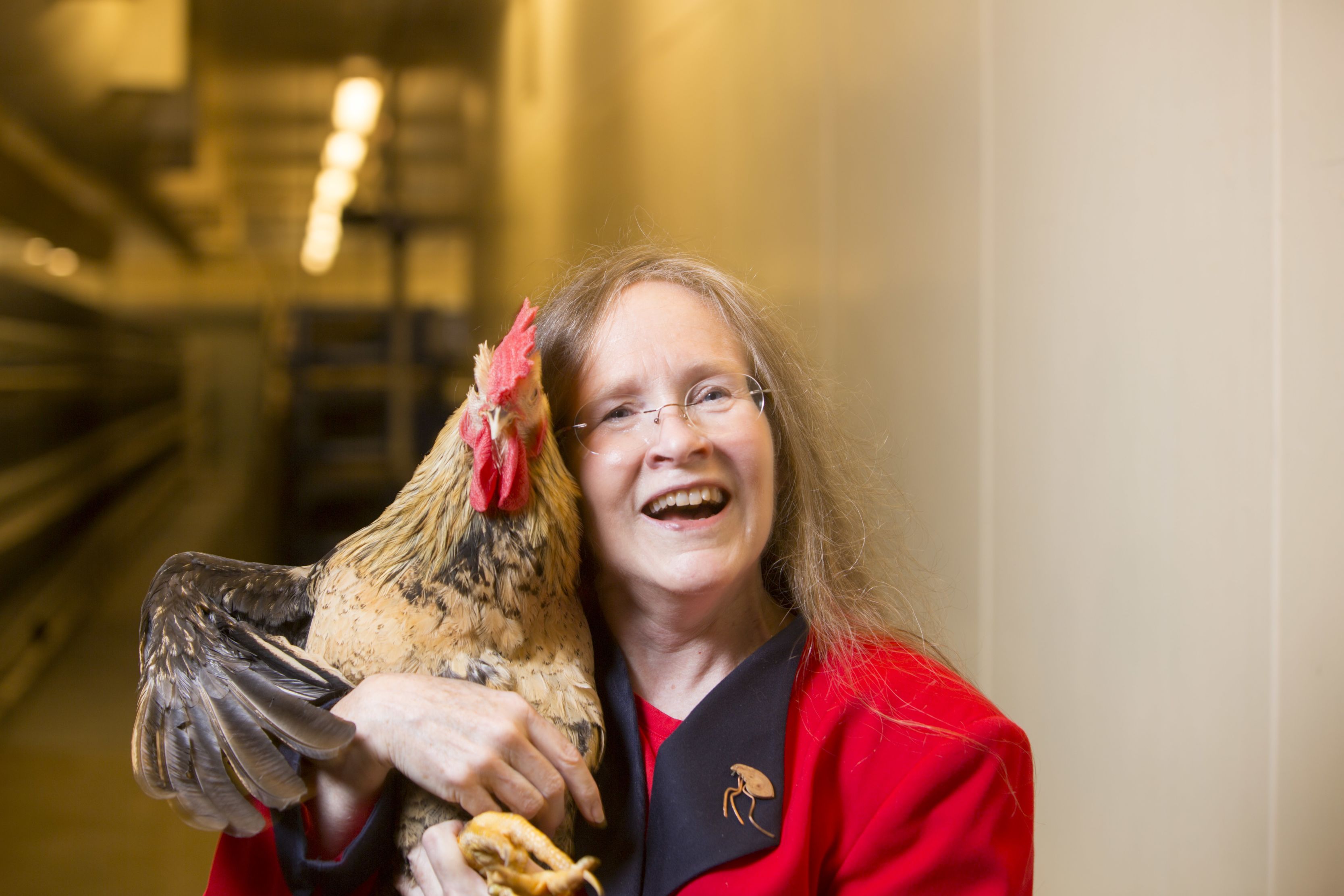 Take Five with Faculty: Nancy Hinkle | Cultivate